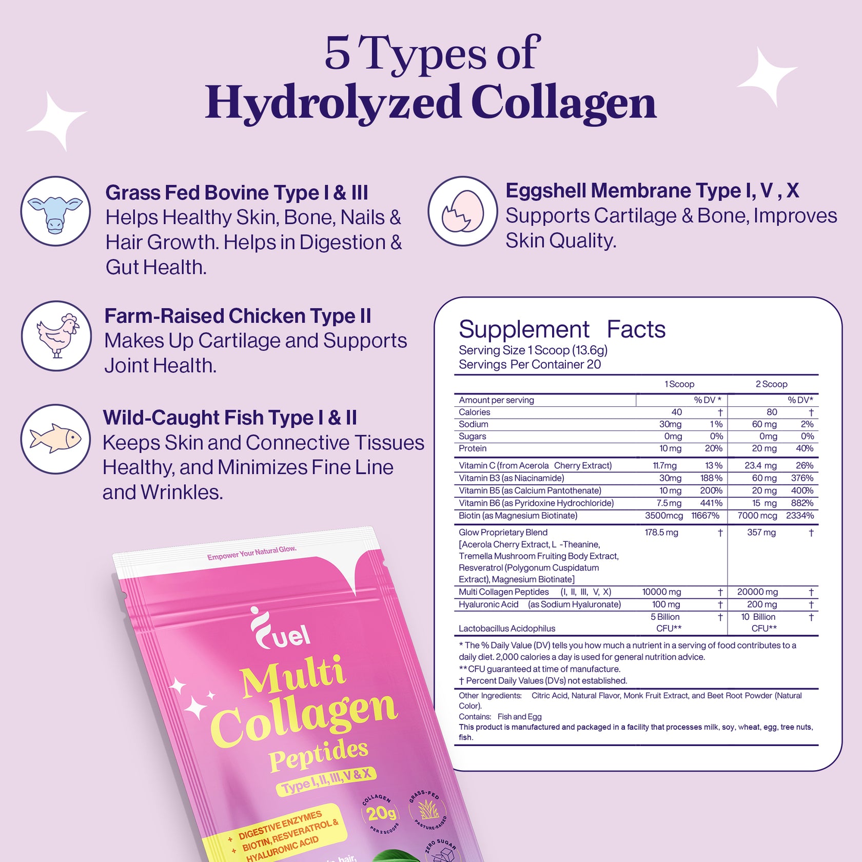 Fuel Multi Collagen Peptides – Fuel Nutrition